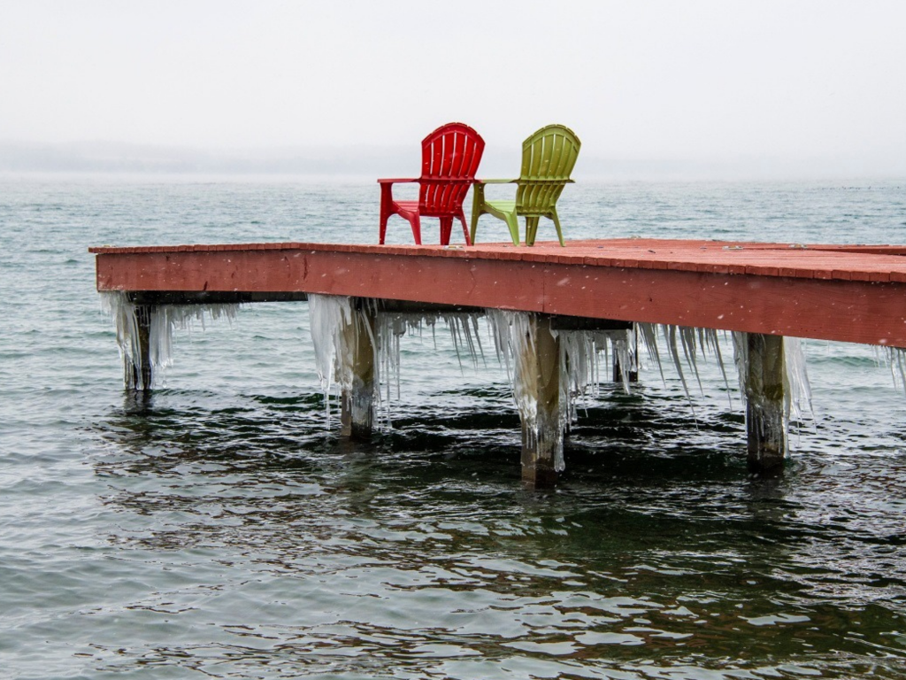 Seneca Lake Update: HABs, Hemlocks, and More - Seneca Lake Pure Waters ...